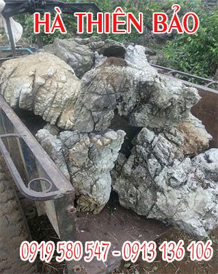 Đá Da Voi Trang trí sân vườn, tiểu cảnh - Marketing Online 24h
